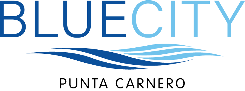 Blue City Logo Blue City